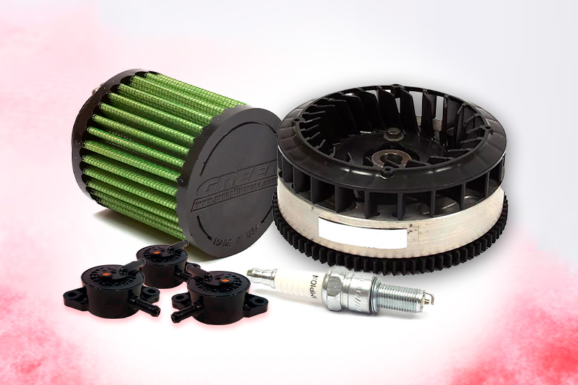 briggs and stratton world formula